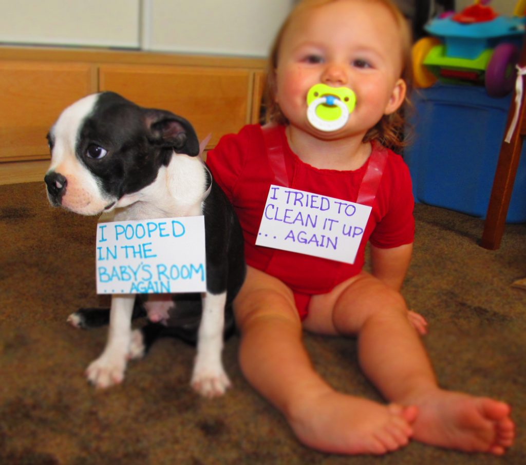 THESE 60 PET SHAMING SIGNS ARE ‘TRUE STORIES’! – HealthZap